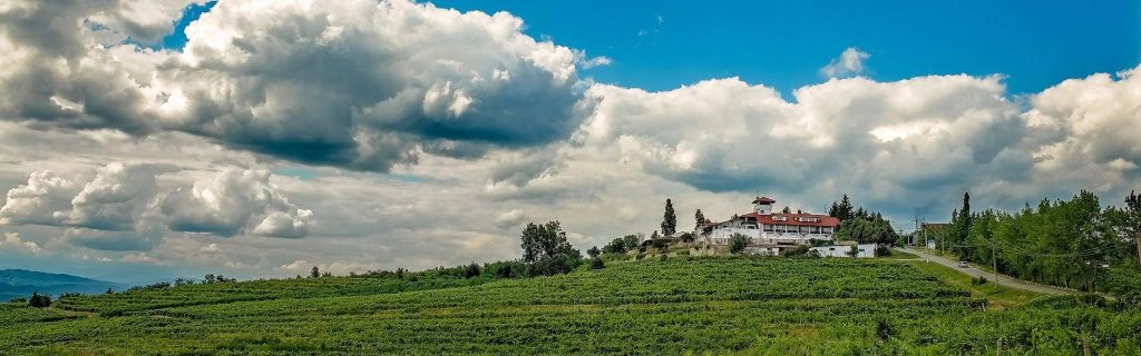Ce poti vizita pe parcursul sejurului la Casa Seciu? - Casa Seciu